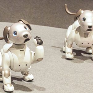 AIBO(アイボ) をどこよりも高額買取 | 高く買いますWEST